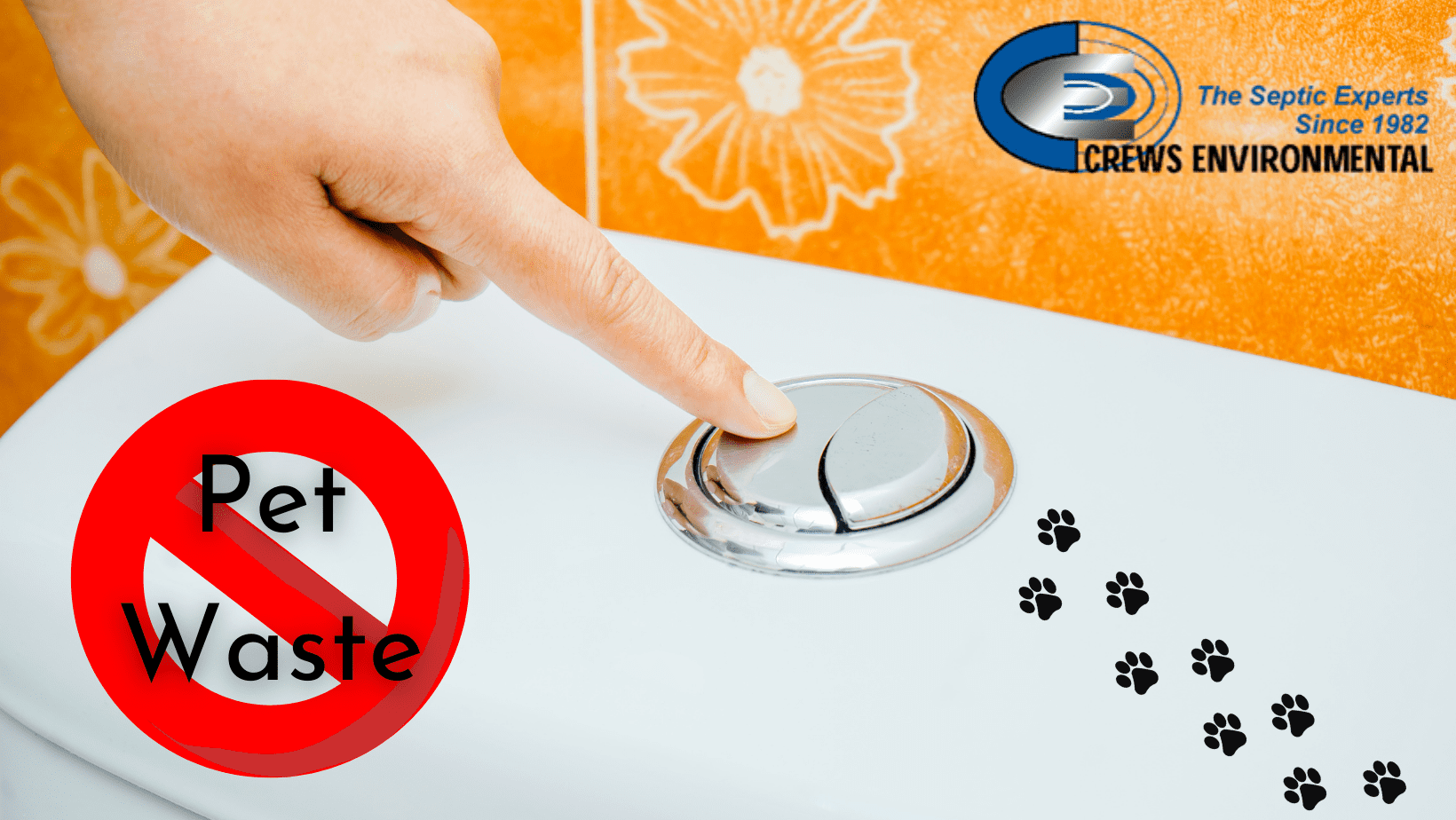 Should You Flush Pet Waste to a Septic System? - Crews Environmental