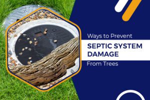 A Guide for Preventing Tree to Damage Septic Systems - Blog